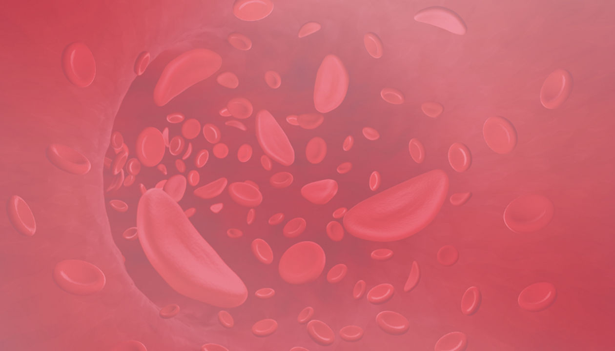 OneBlood Blog | Learn More
