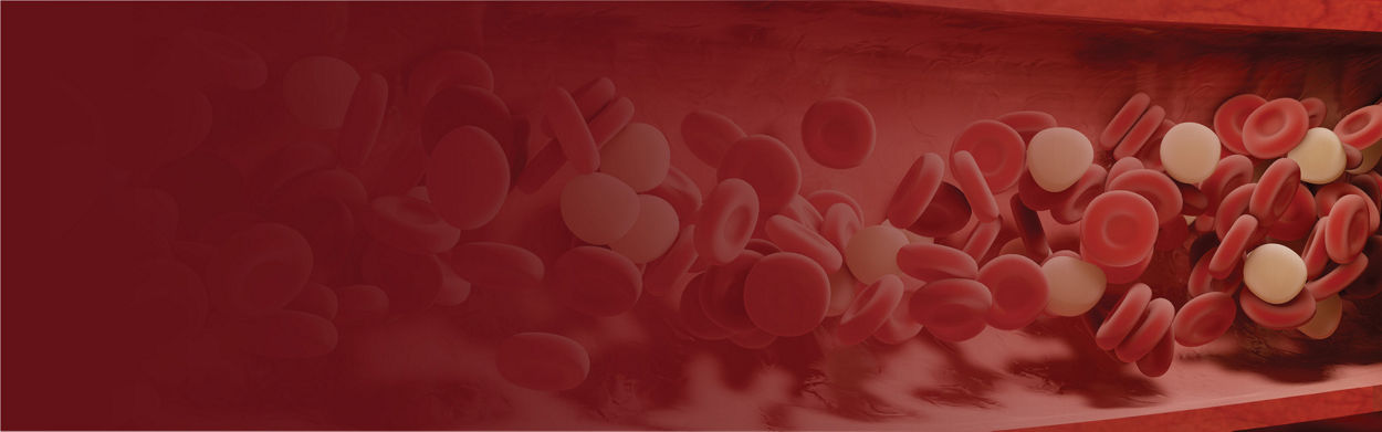 Where Is Your Blood Made?